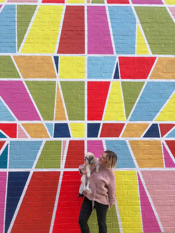 The RIM Shopping Center ::: San Antonio ::: TX