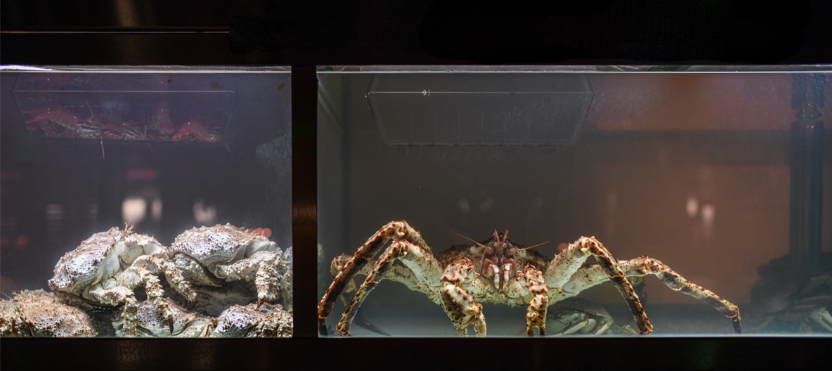 Beverly Center | LA's Premier Food, Fashion, and Shopping Destination