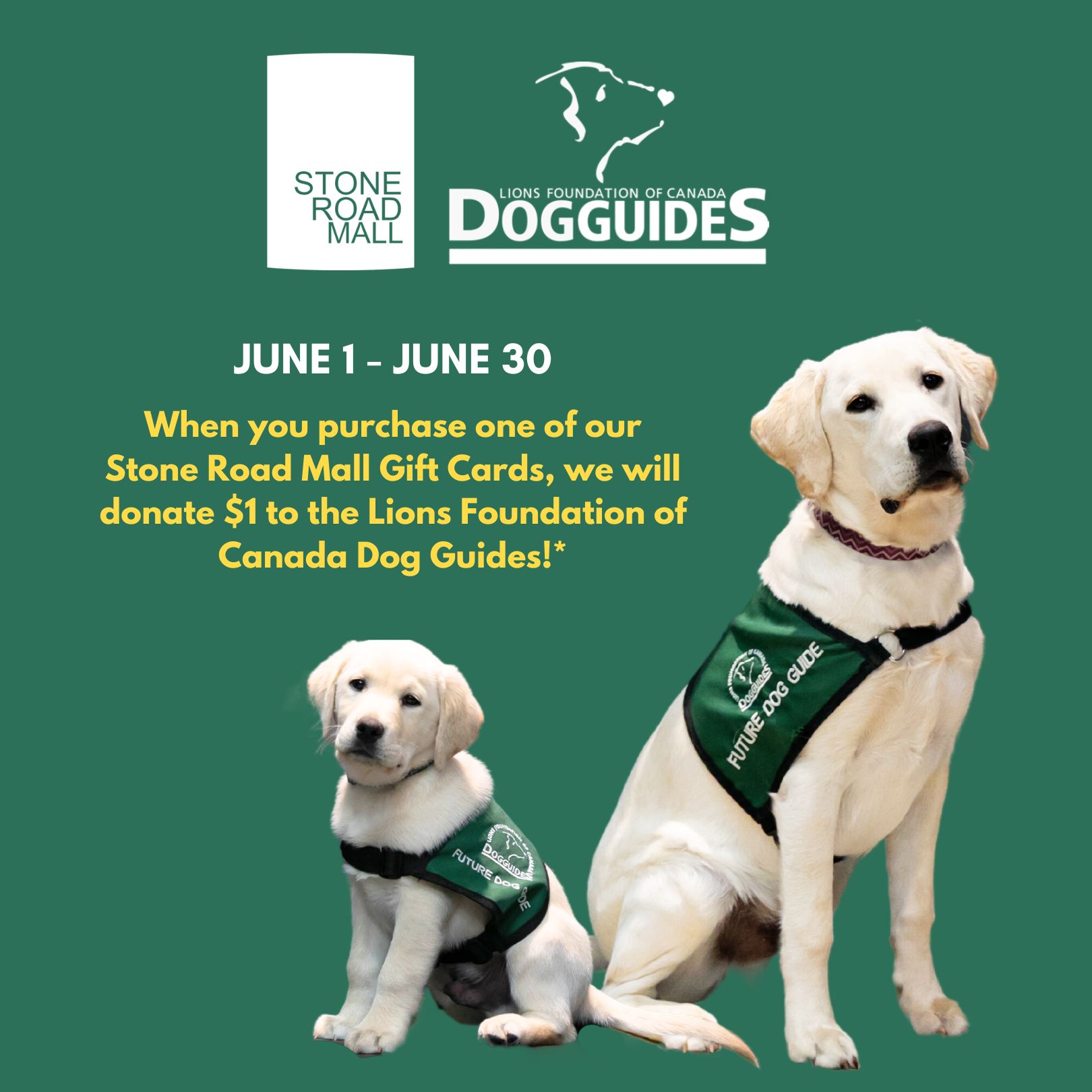 Special Events and Store Openings Throughout the Year | Stone Road Mall