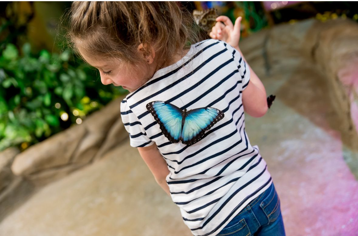 Galeries de la Capitale