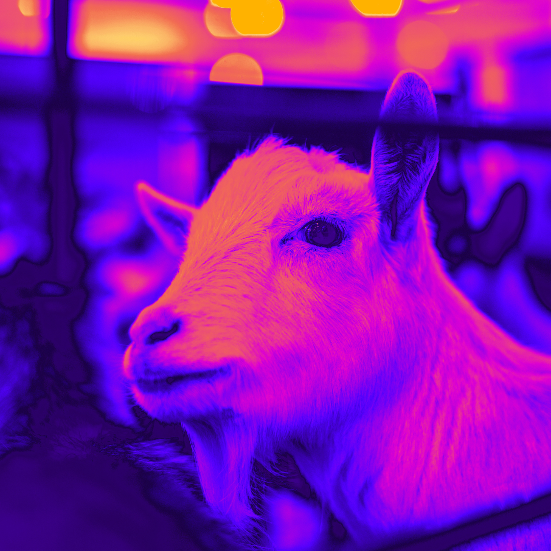 Events :: The Orchard Town Center :: Westminster CO